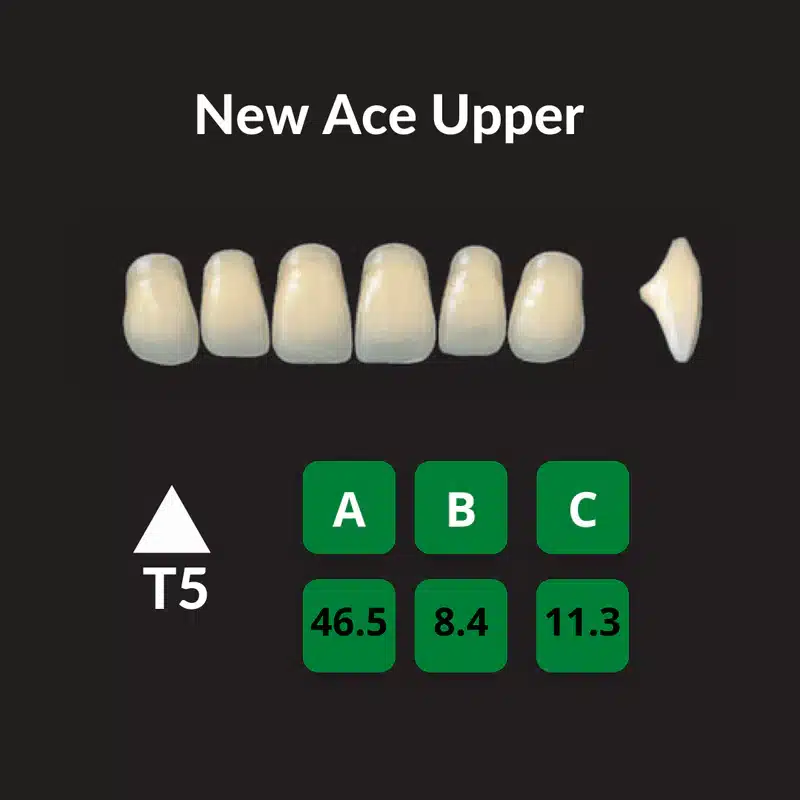 Yamahachi New Ace® Denture Teeth Library added – CAE Dental